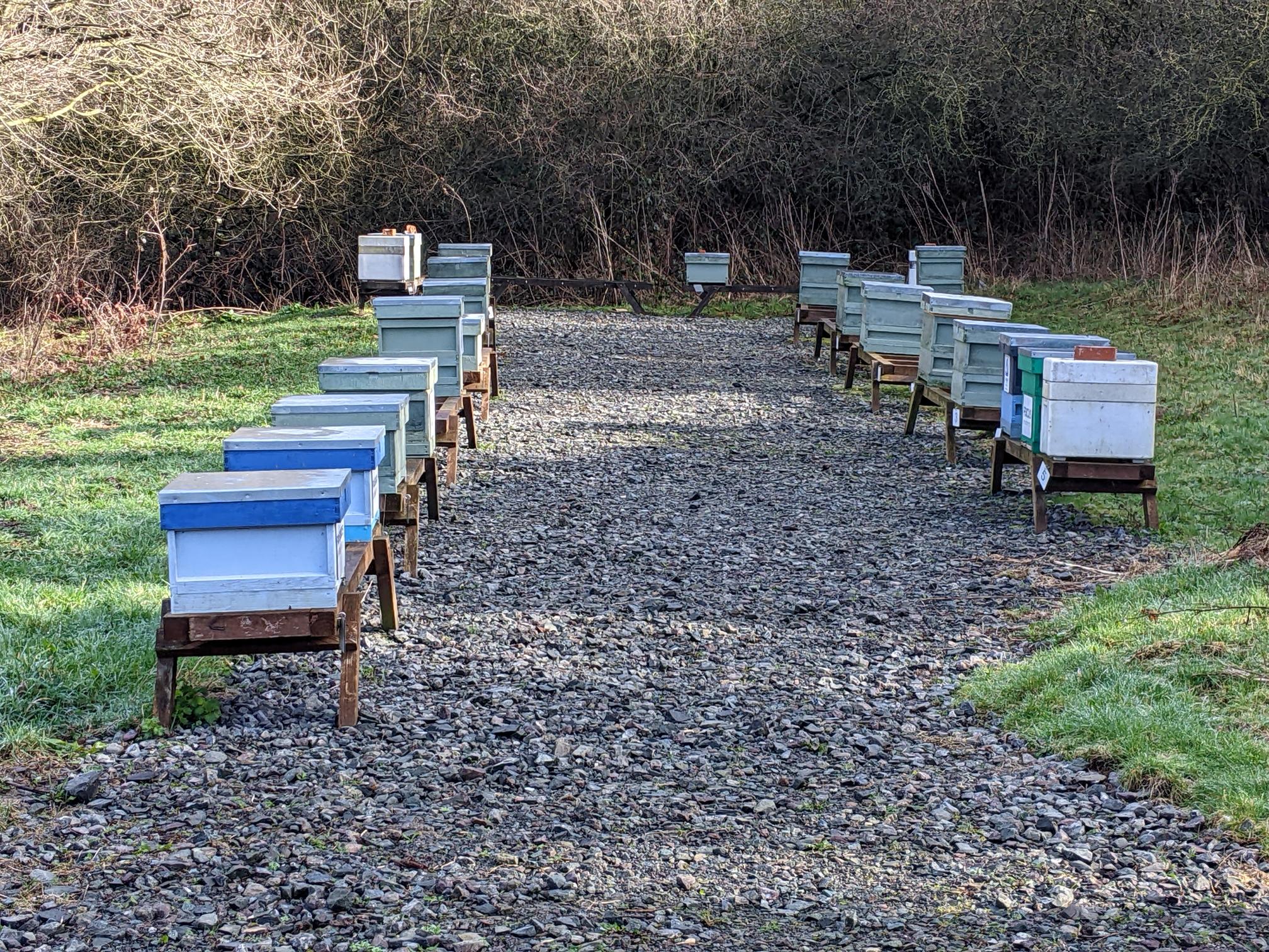 Our volunteers – Shropshire Beekeepers' Association